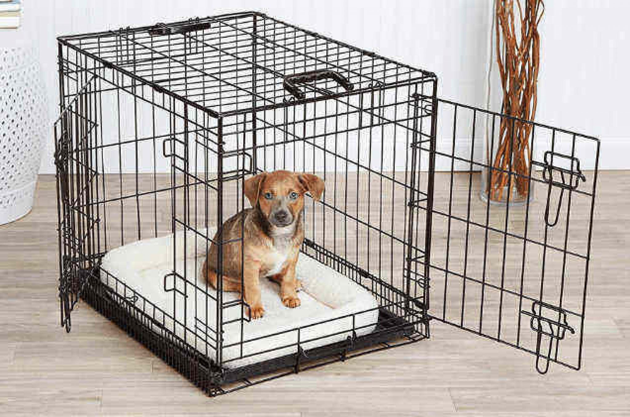 Las mejores jaulas para perros 2025 🥇 - PidePienso.com